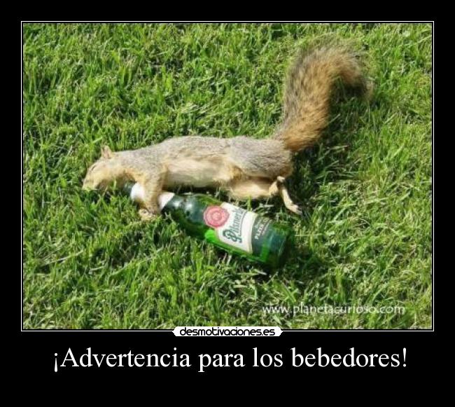 Imágenes y Carteles de BEBEDORES | Desmotivaciones